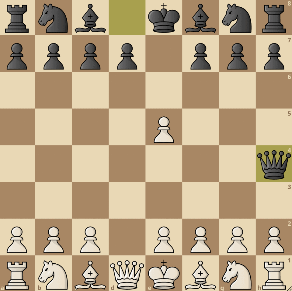 10 Weird Chess Openings with Animal Names - Chess For Sharks